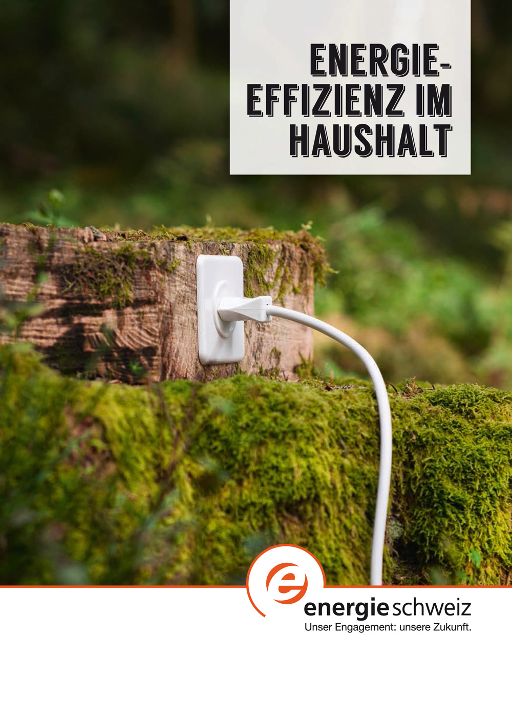 Energiesparen im Haushalt – Öffentliche Energieberatung Bern-Mittelland